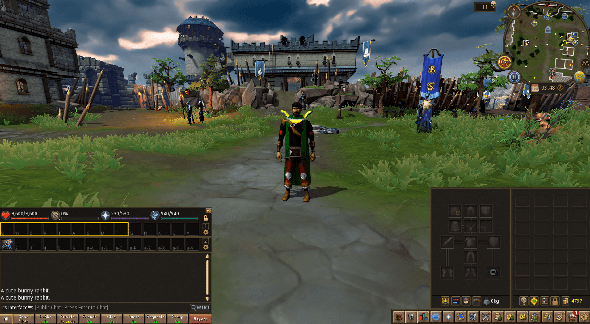 Interface Setup